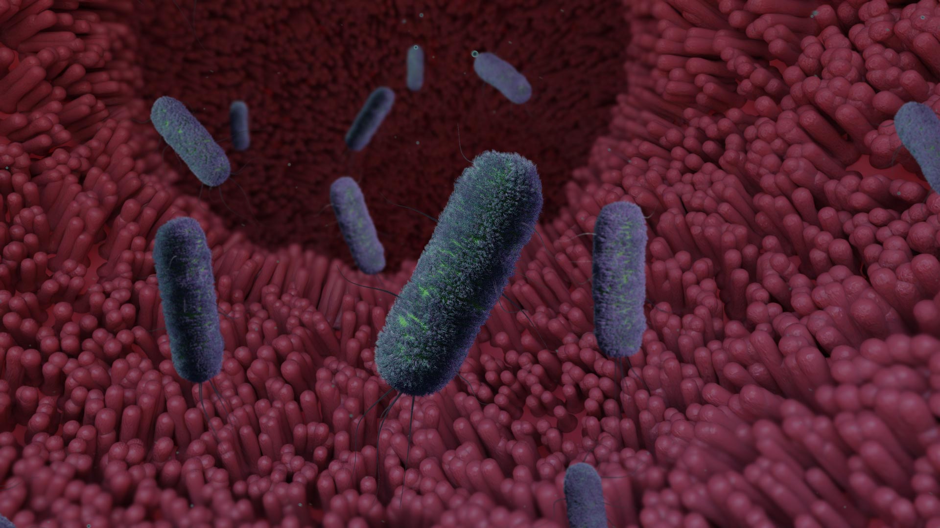 Is E.coli Dangerous? What you should do if you detect E.coli