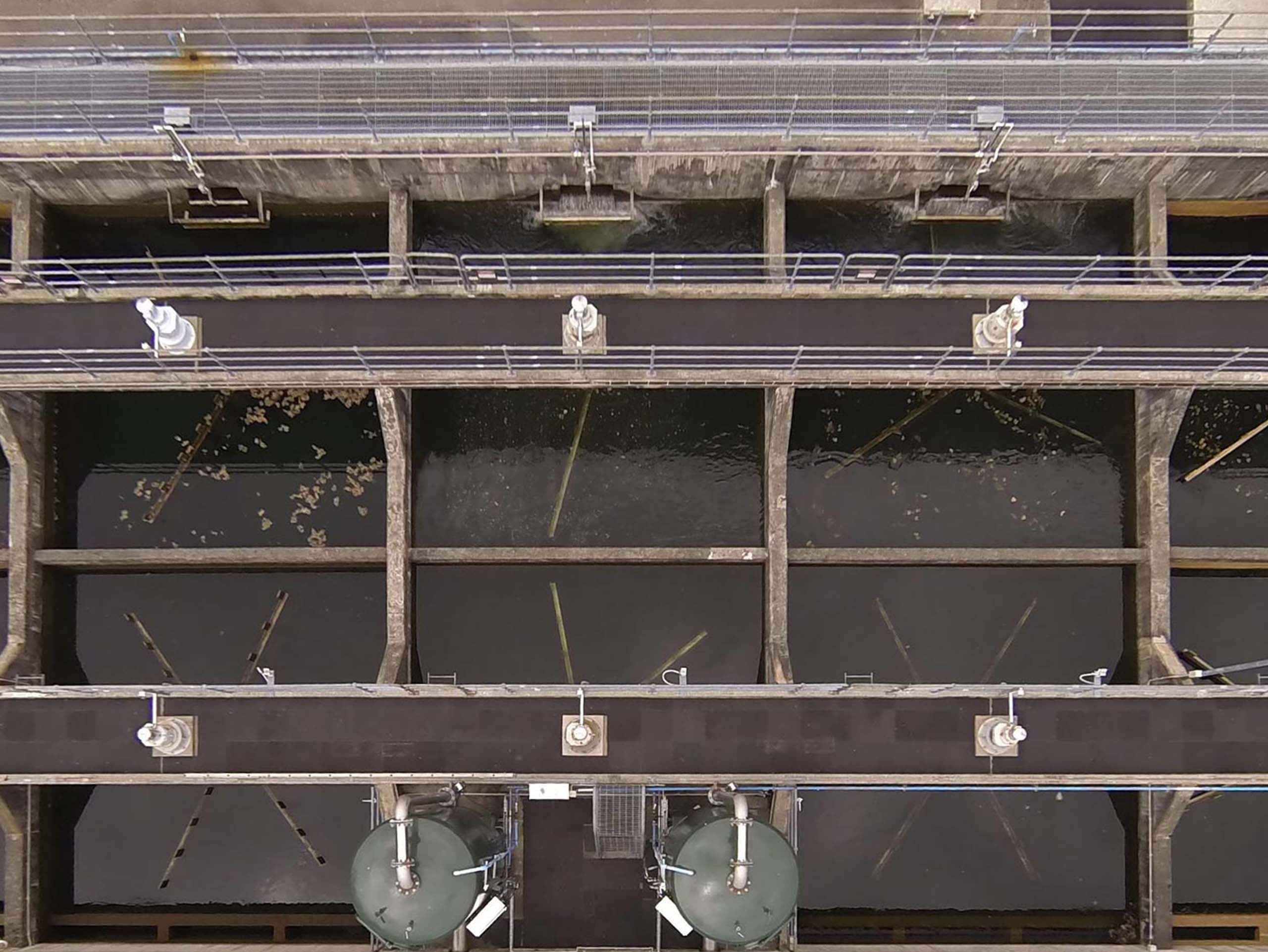 Wainuiomata, Wellington Water - Projects | Lutra